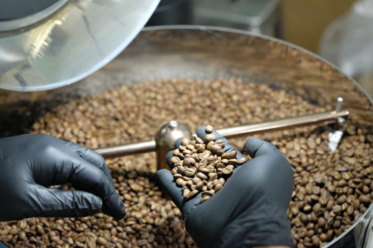 Coffee Roaster | Explore Coffee | Yellow Turtle Coffee